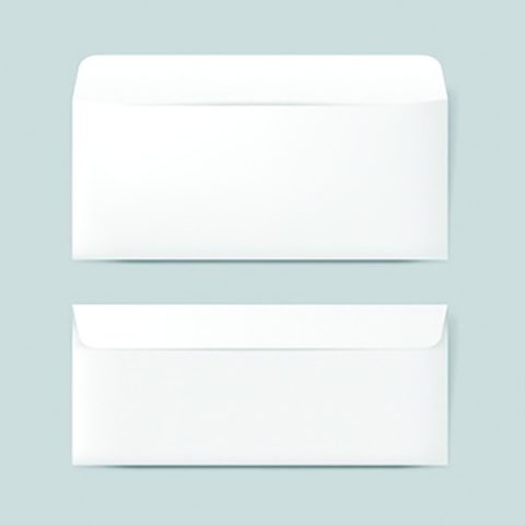 Envelopes White Dl 110mm x 220mm 500’s | GS Vickers & Co